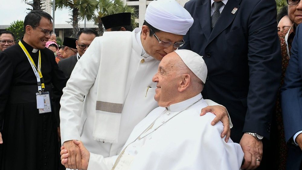 Pope Francis on our Divided World – Seeds Will Grow